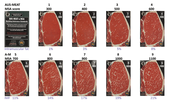 GoodBeef Index
